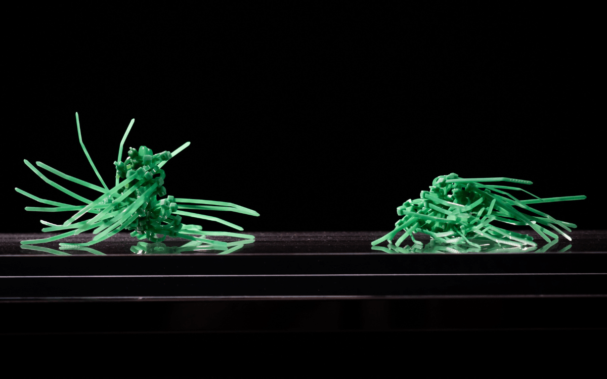 Insights: Grace Tan - Esplanade Offstage