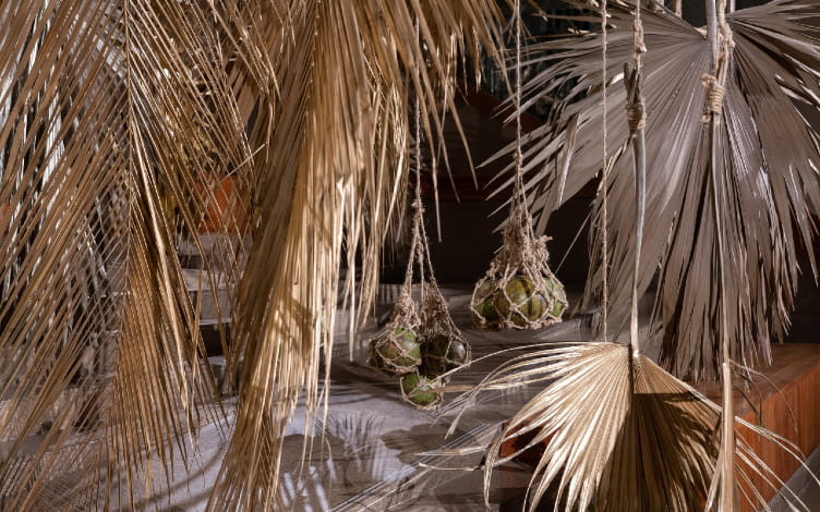 Insights: This Humid House