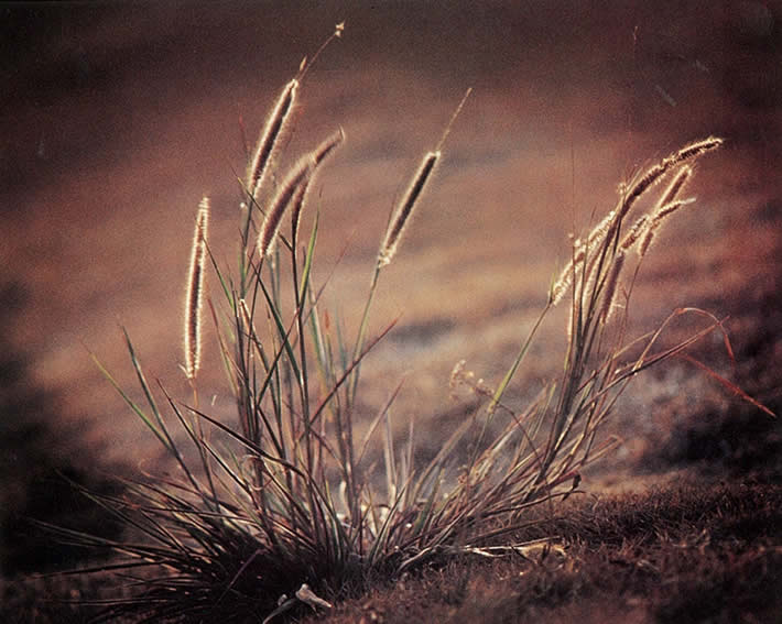 David Tay - Esplanade Offstage